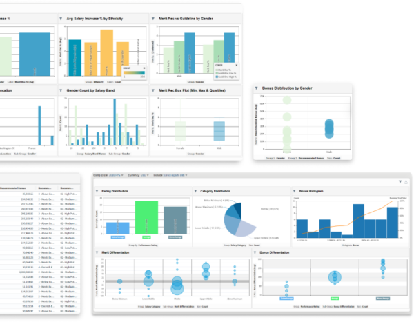 Decusoft – Ignite Amazing!