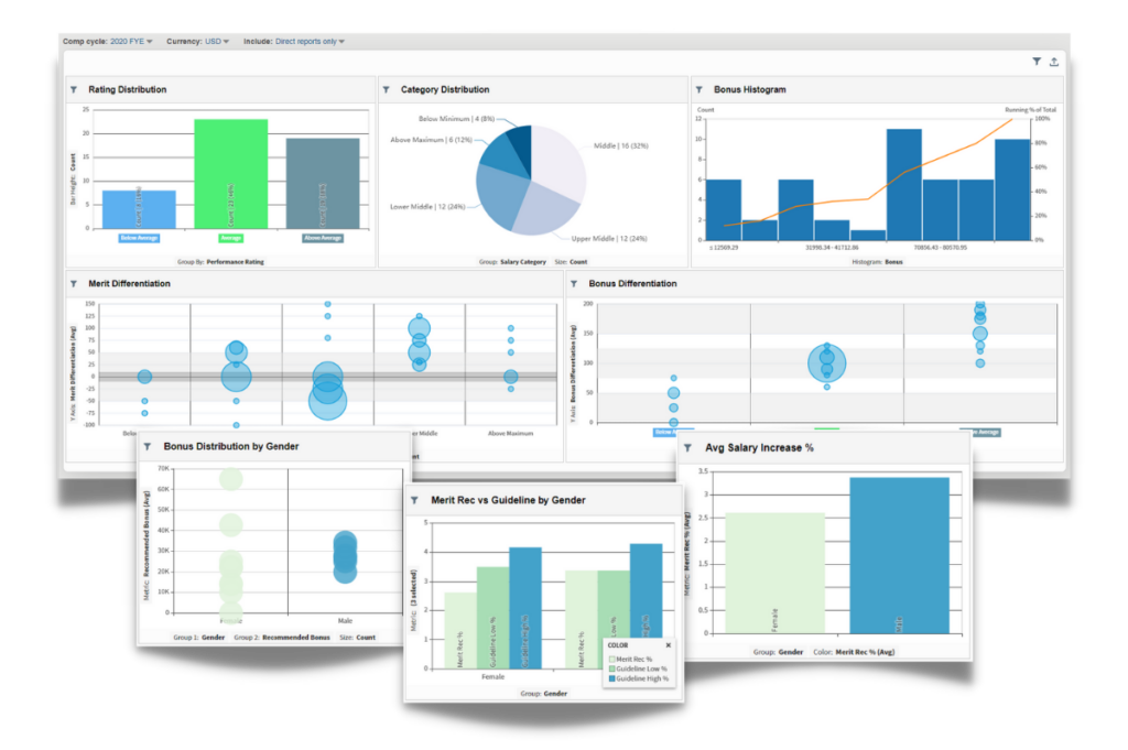 Your Compensation Analytics Partner - People & DEI | Decusoft