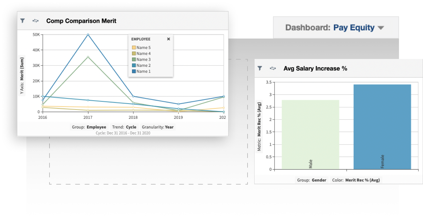 Your Compensation Analytics Partner - People & DEI | Decusoft
