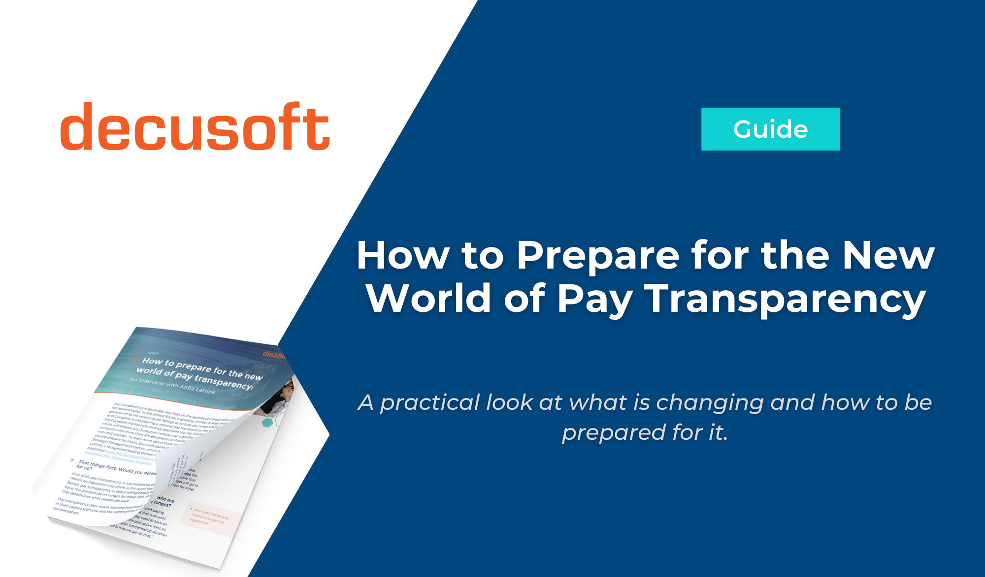Compose Compensation Management Software- Overview | Decusoft