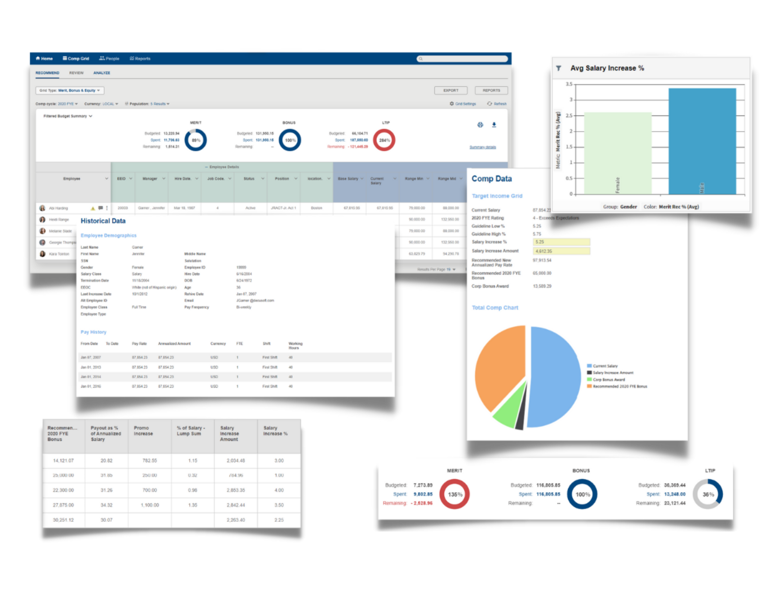Reporting & Analytics | Decusoft